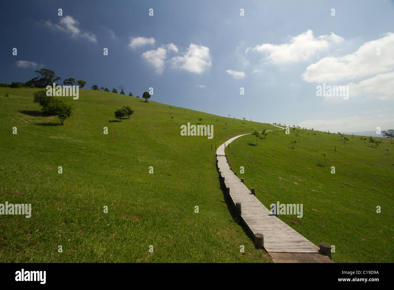 Green grass hillside hi-res stock photography and images - Alamy