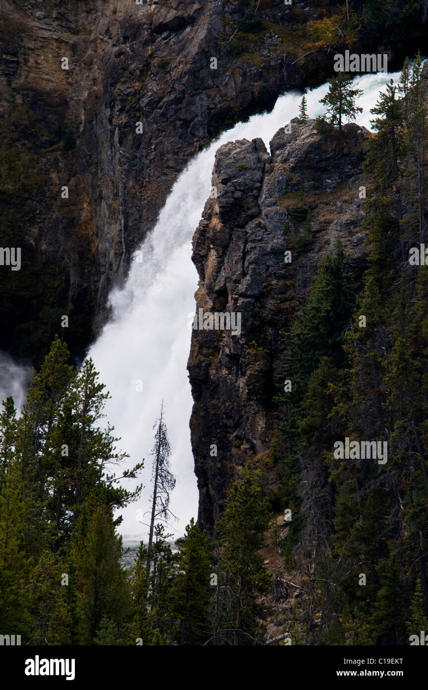 Yellowstone River Canyon,Upper Falls,Artist & Observation Platform,Drop ...