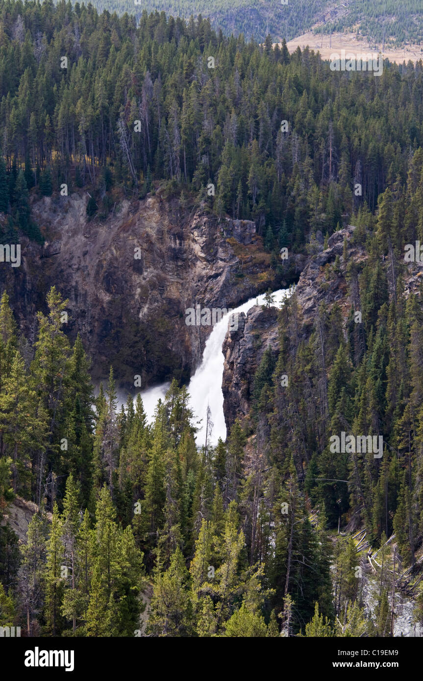 Yellowstone River Canyon,Upper Falls,Artist & Observation Platform,Drop ...
