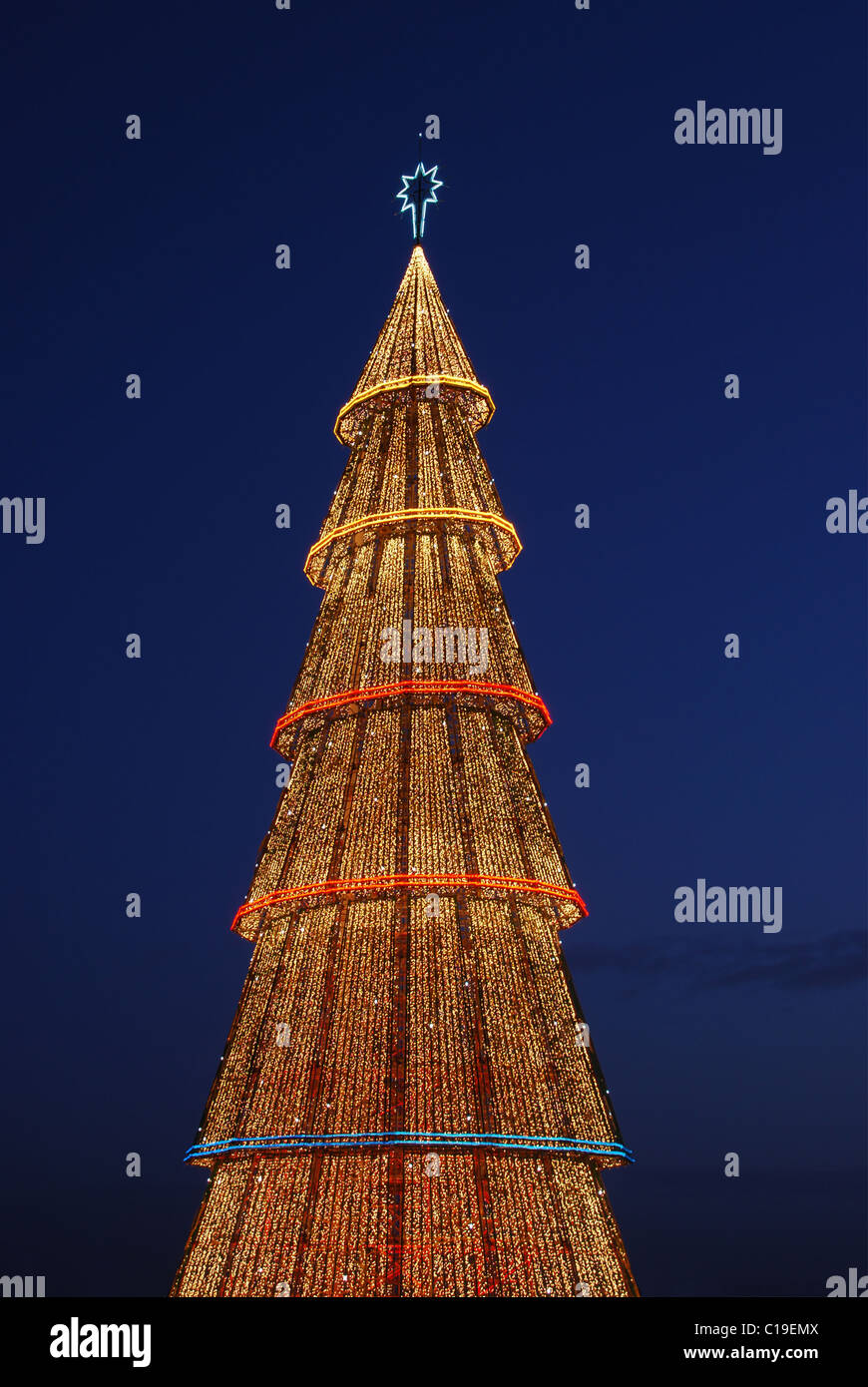 Tall christmas tree hi-res stock photography and images - Alamy