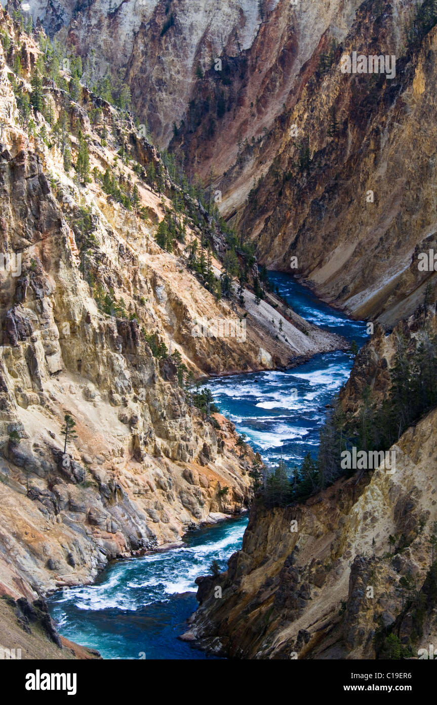 Yellowstone River Canyon,Lower Falls,Artist & Observation Platform,Drop ...