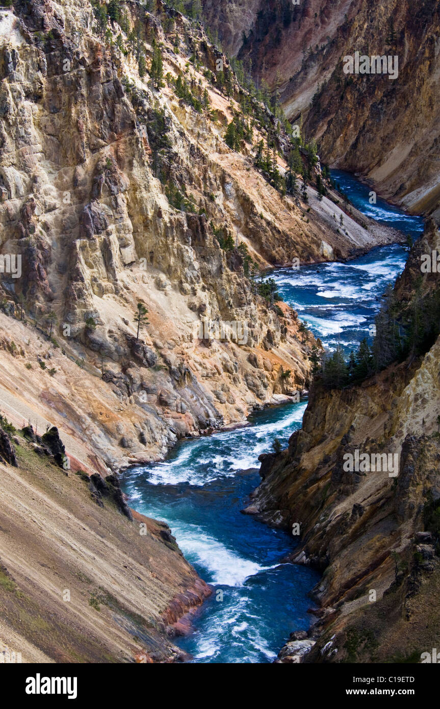 Yellowstone River Canyon,Lower Falls,Artist & Observation Platform,Drop ...