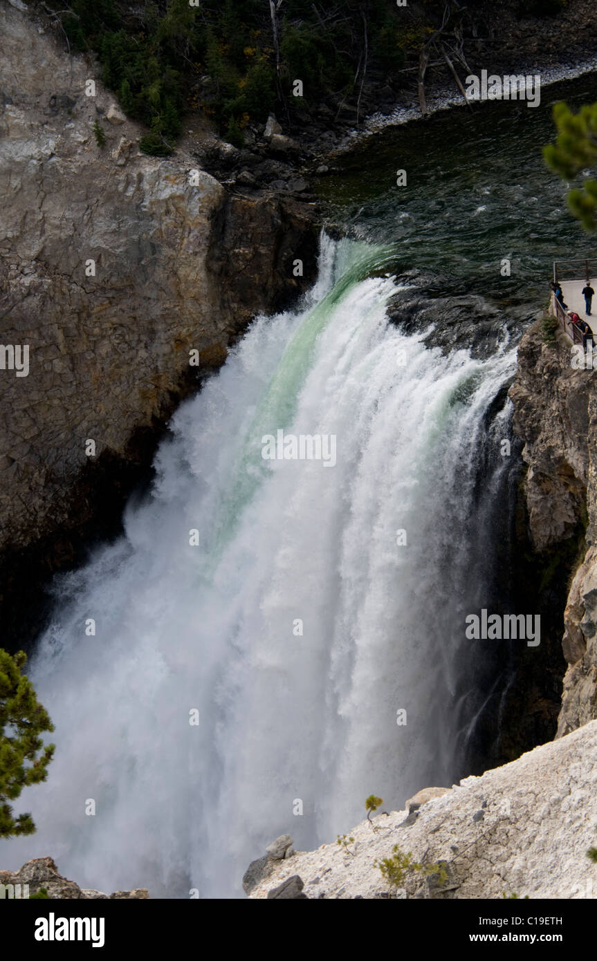 Yellowstone River Canyon,Lower Falls,Artist & Observation Platform,Drop ...
