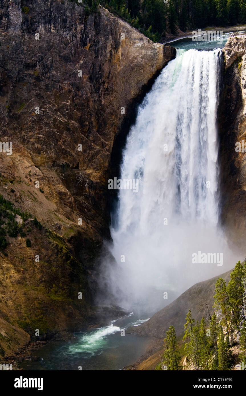 Yellowstone River Canyon,Lower Falls,Artist & Observation Platform,Drop ...