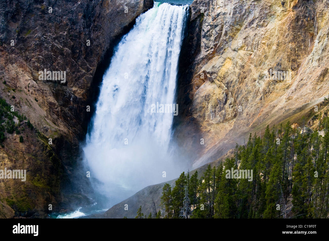 Yellowstone River Canyon,Lower Falls,Artist & Observation Platform,Drop ...