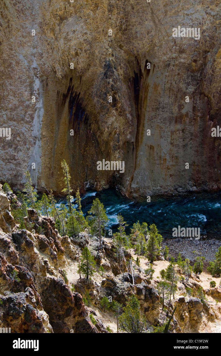 Yellowstone River Canyon,Lower Falls,Artist & Observation Platform,Drop ...