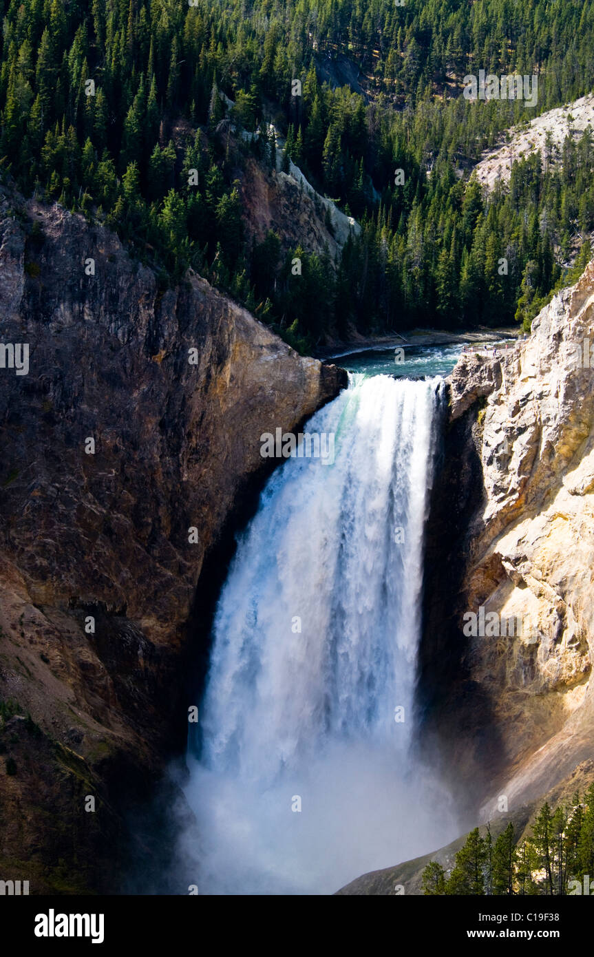 Yellowstone River Canyon,Lower Falls,Artist & Observation Platform,Drop ...