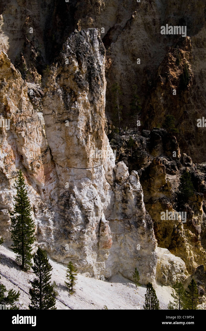 Yellowstone River Canyon,Lower Falls,Artist & Observation Platform,Drop ...