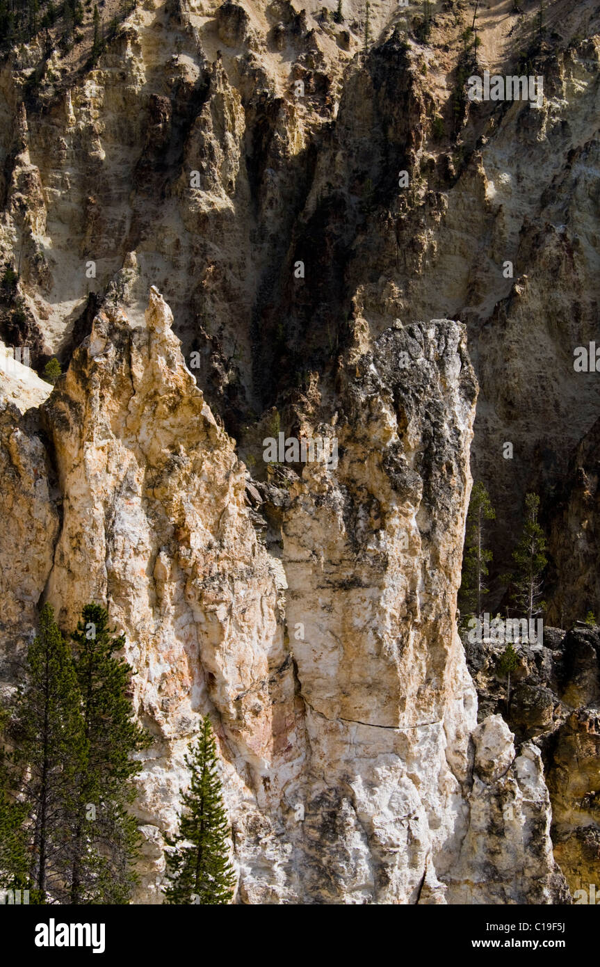 Yellowstone River Canyon,Lower Falls,Artist & Observation Platform,Drop ...