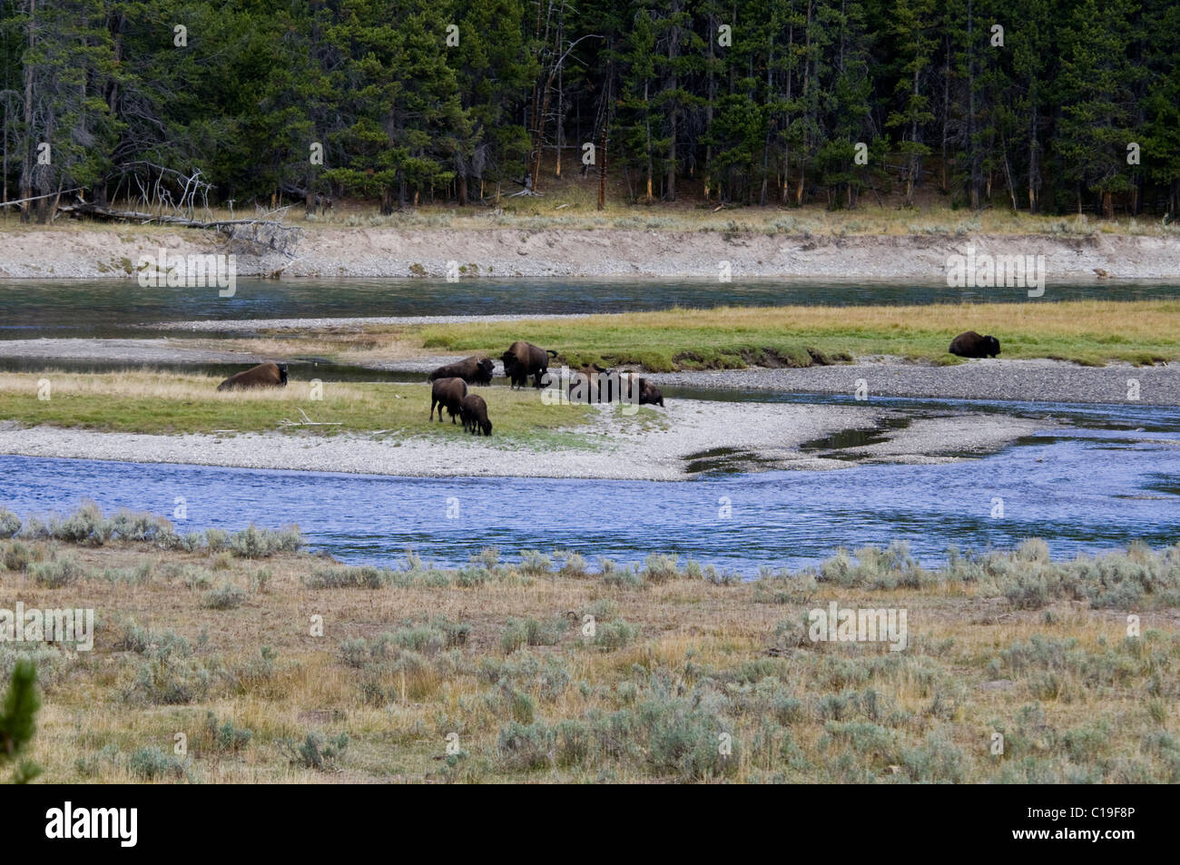 Buffalo national river limestone hi-res stock photography and images ...
