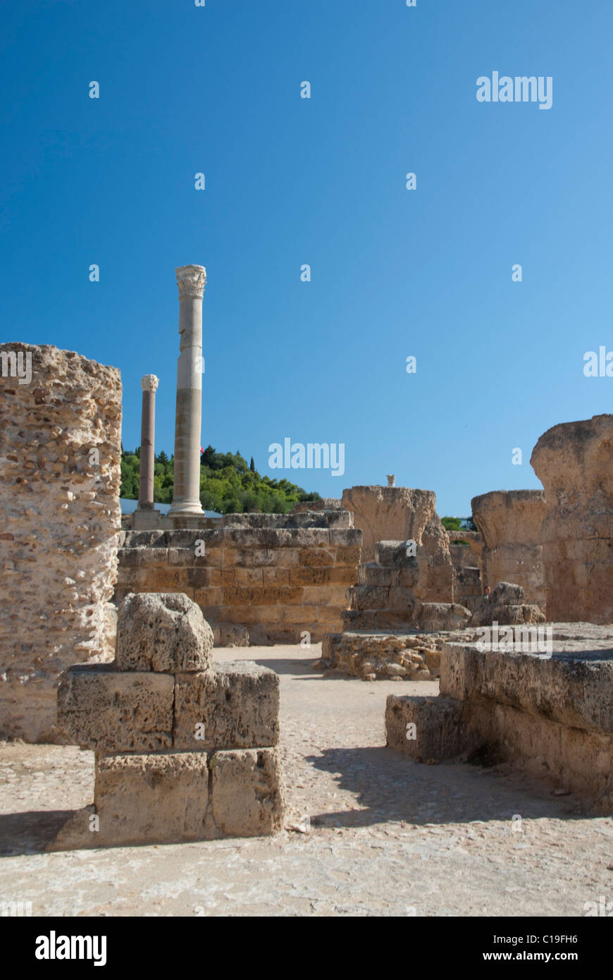 Tunisia, Carthage, Roman Ruins Stock Photo - Alamy