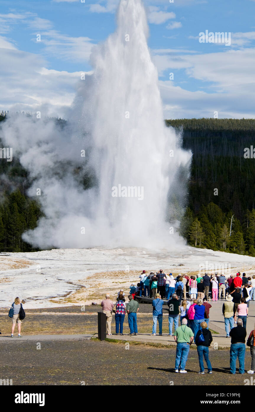 Old Faithful Geyser,Views From Old Faithful Inn,Yellowstone National ...