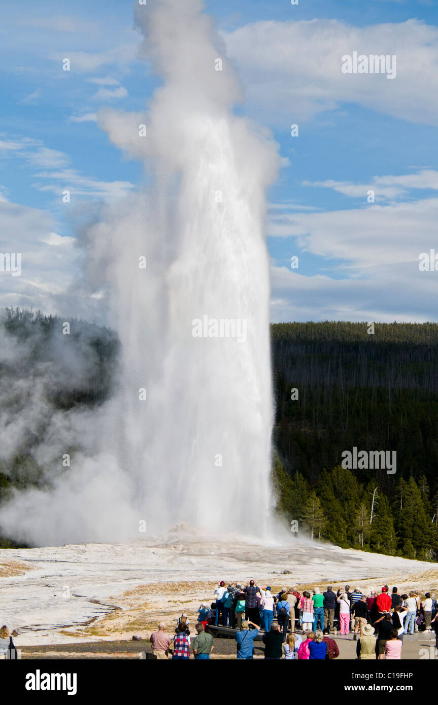 Old Faithful Geyser,Views From Old Faithful Inn,Yellowstone National ...