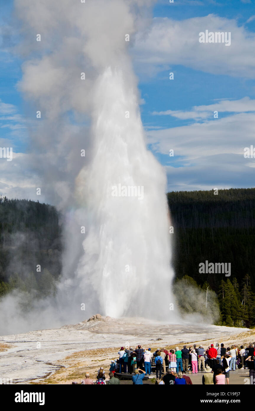 Old Faithful Geyser,Views From Old Faithful Inn,Yellowstone National ...