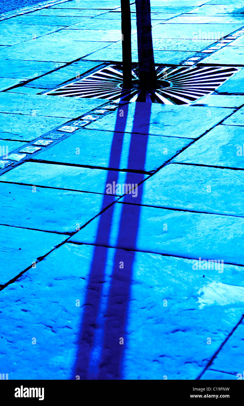 Shadow pavement tree hi-res stock photography and images - Alamy