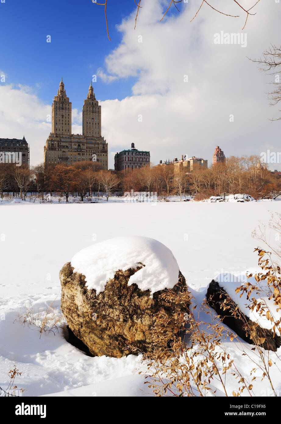 New York City Manhattan Central Park in winter with ice and snow over ...