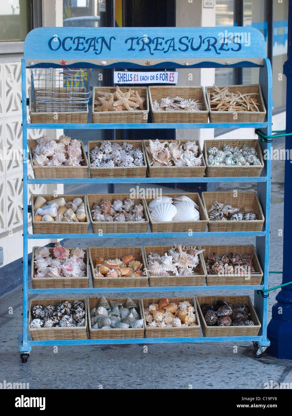 Sale shells hi-res stock photography and images - Alamy