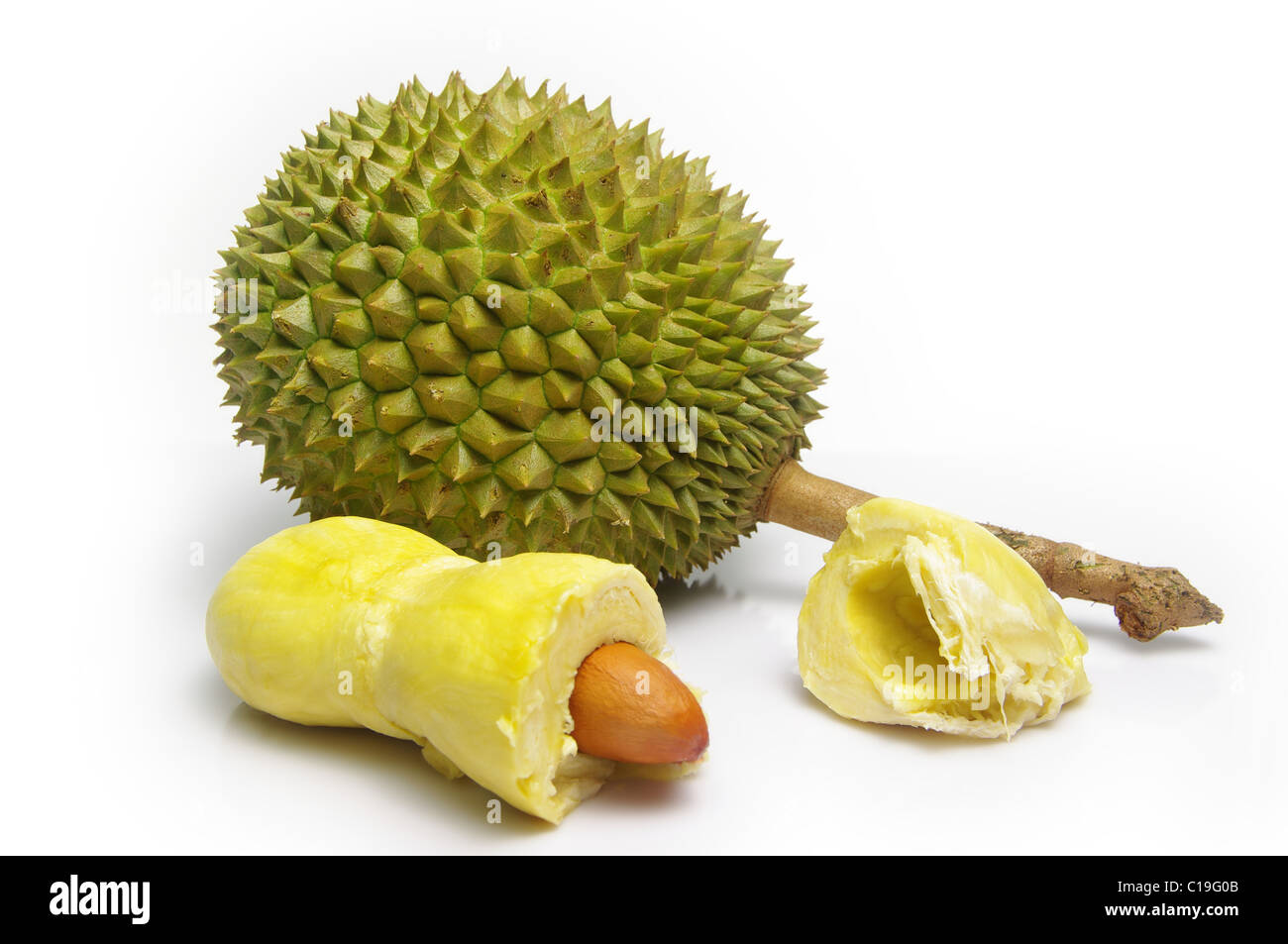 Fruit of the durian zibethinus hi-res stock photography and images - Alamy