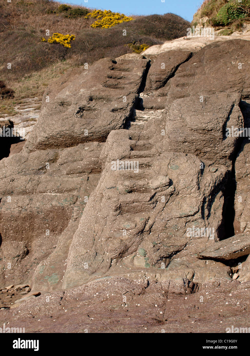 Steps cut into rocks at watermouth, Ilfracombe, Devon, UK Stock Photo ...