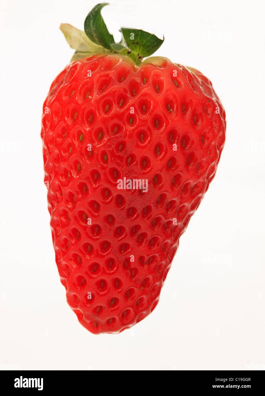 Strawberry, white background Cut Out Stock Images & Pictures - Alamy