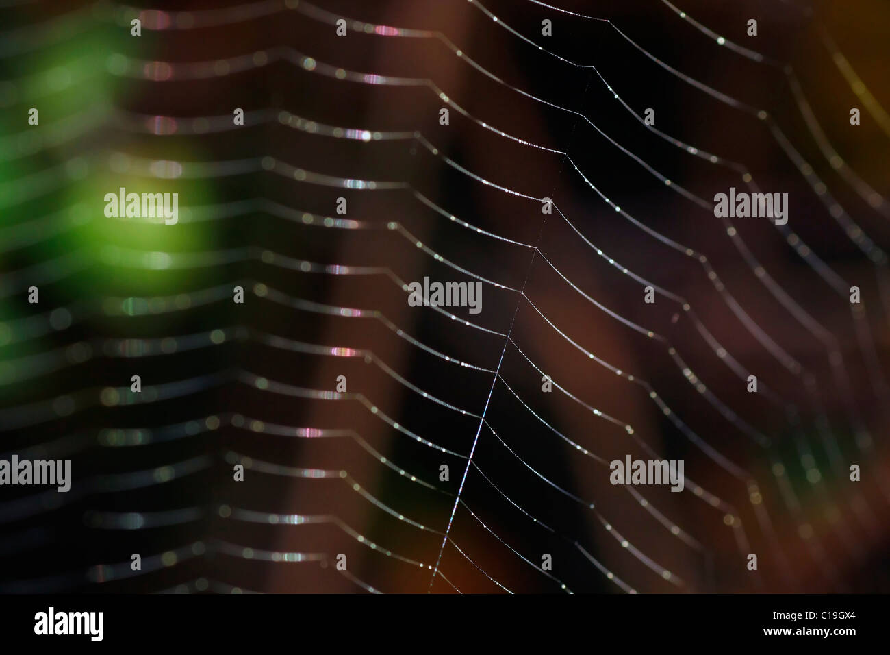 Strings of filament hi-res stock photography and images - Alamy