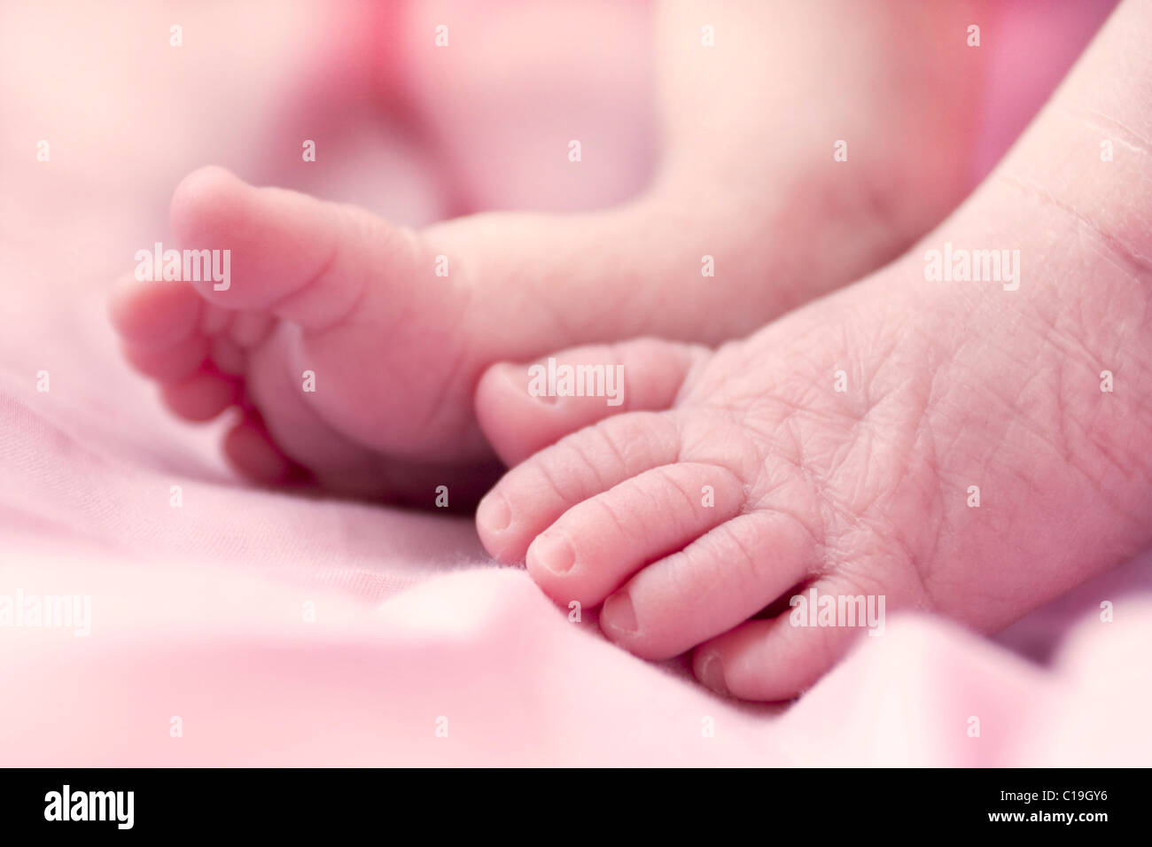close up shot of a newborn baby girls feet Stock Photo - Alamy
