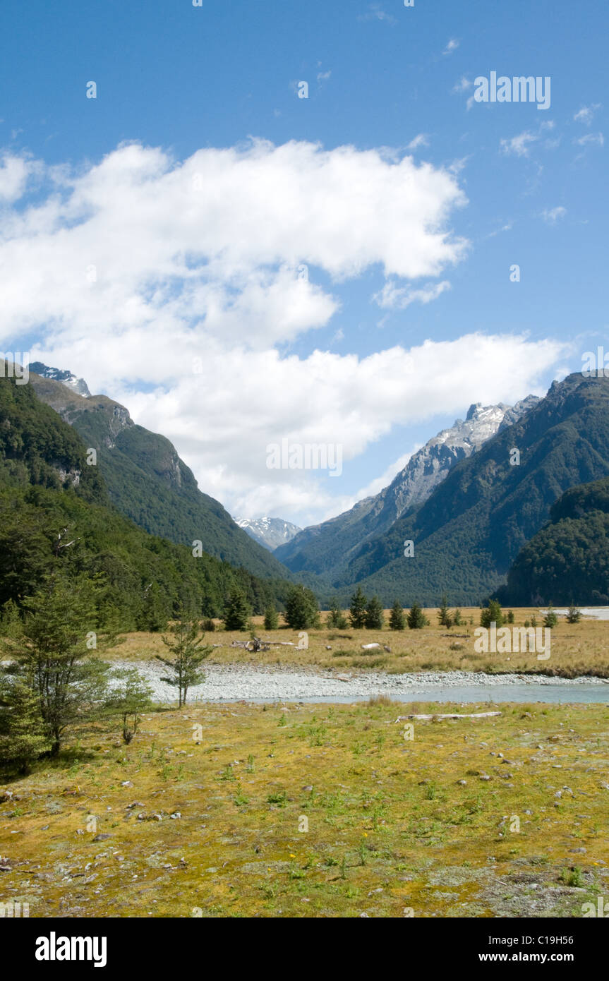 Dart river jet boat hi-res stock photography and images - Alamy