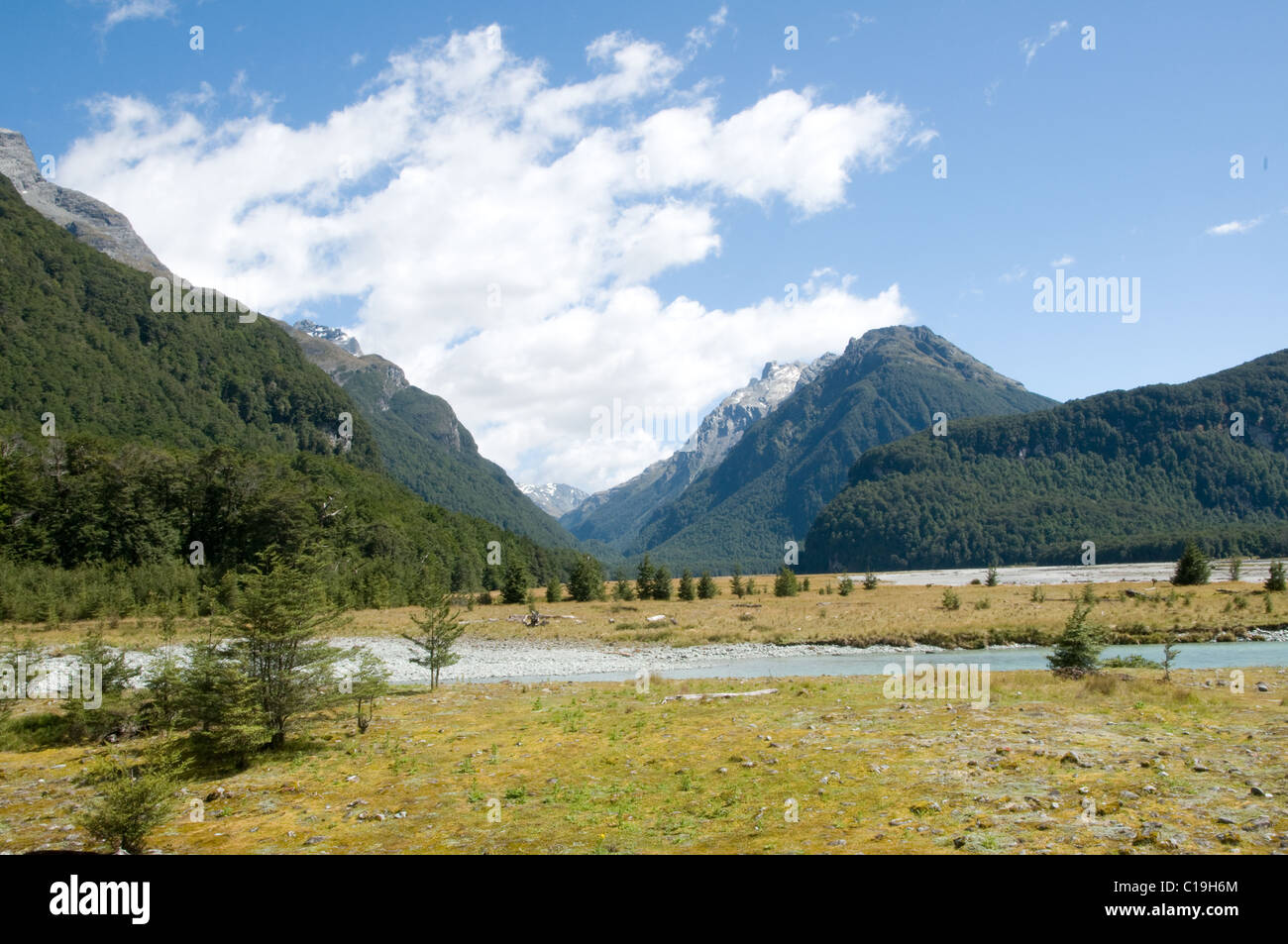 Dart river jet boat hi-res stock photography and images - Alamy