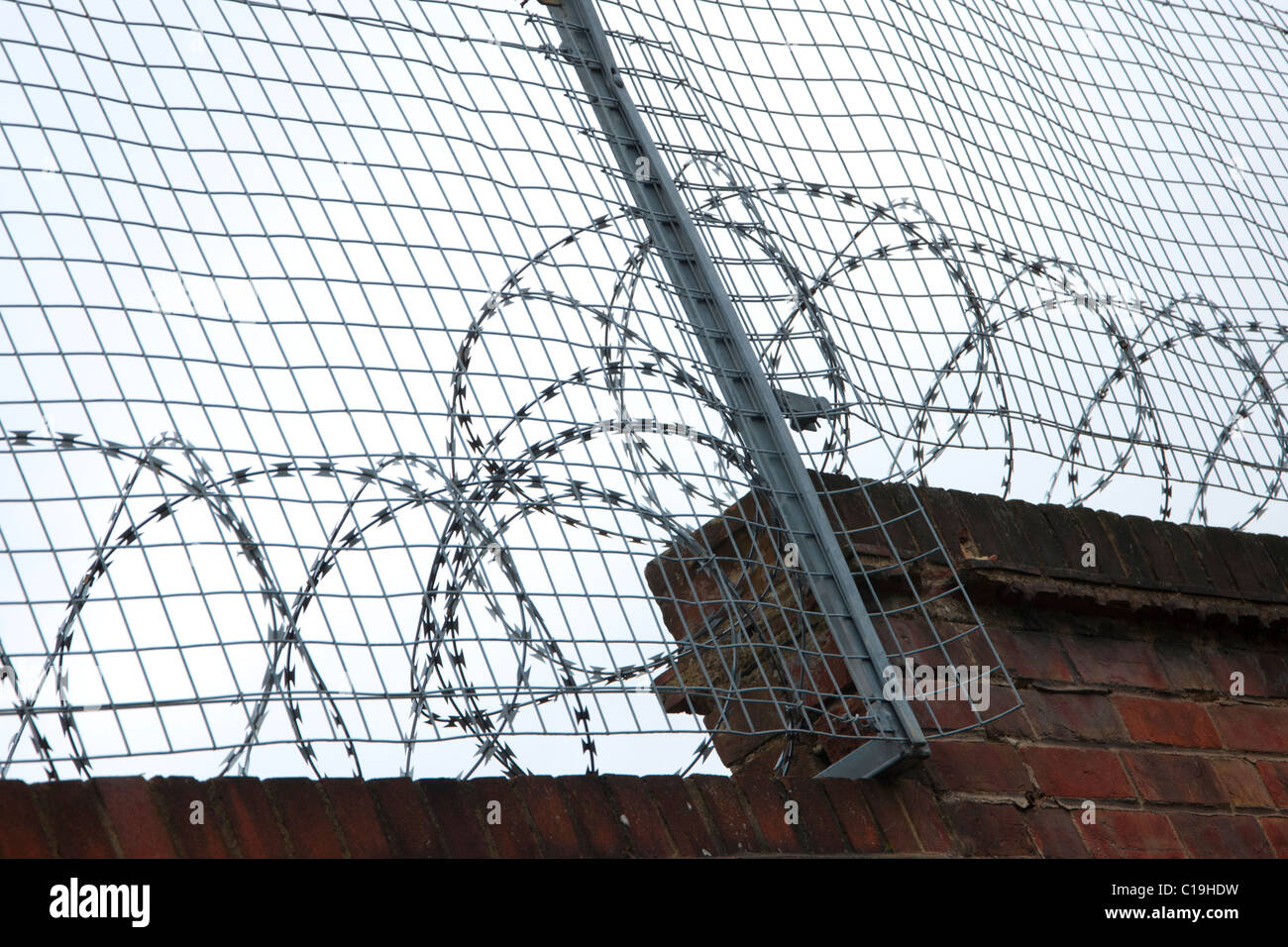 Razor wire on top of Brick wall Stock Photo - Alamy