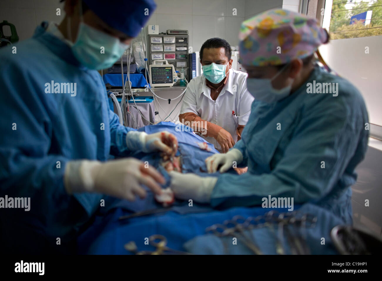 A veterinarian surgeon operates a dog at the operating room of a Pet ...