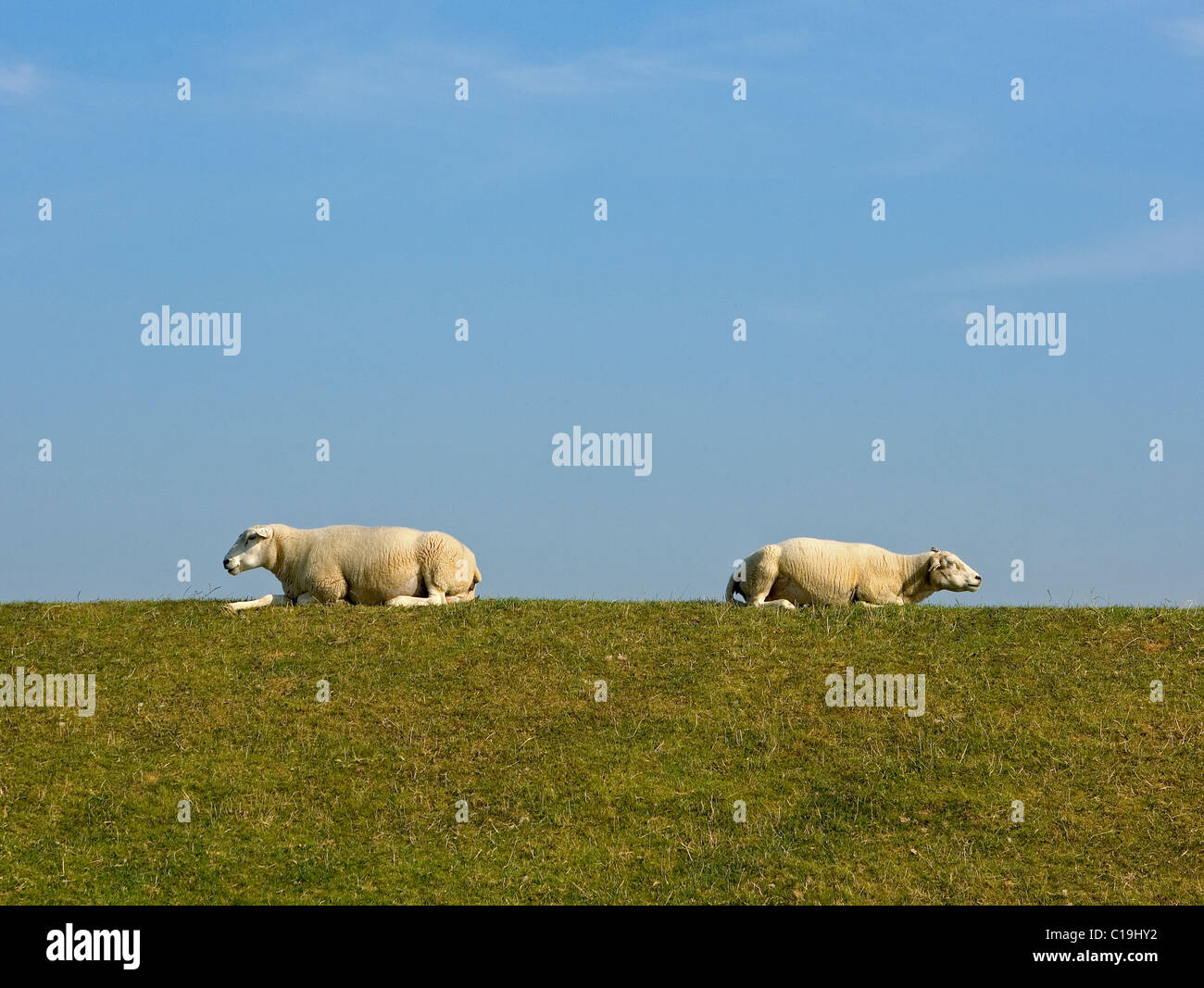 Grass hill embankment hi-res stock photography and images - Alamy