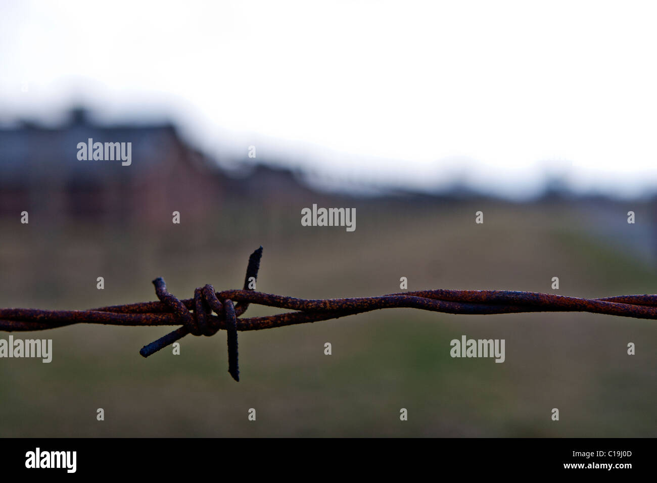 Barbed wire auschwitz birkenau hi-res stock photography and images - Alamy