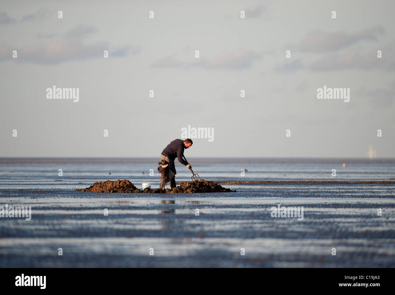 Bait digging hi-res stock photography and images - Alamy