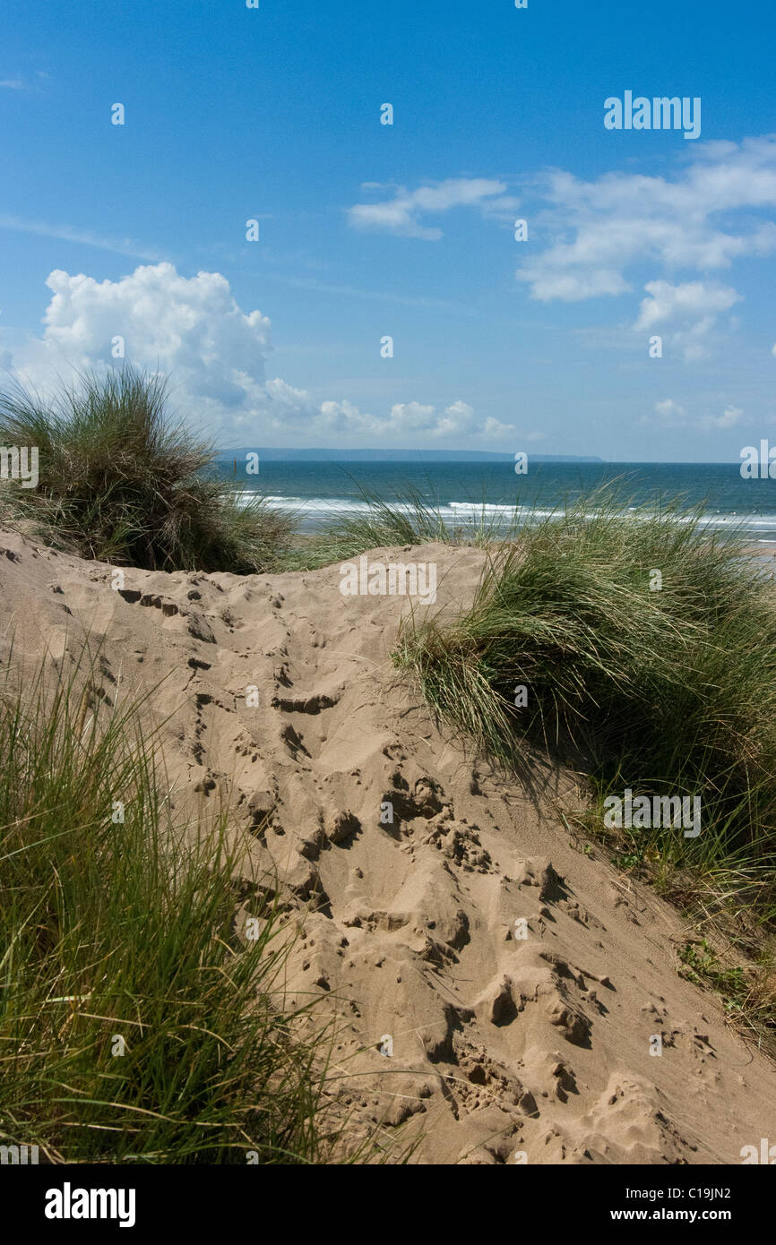 Sand dunes at Croyde North Devon Stock Photo - Alamy