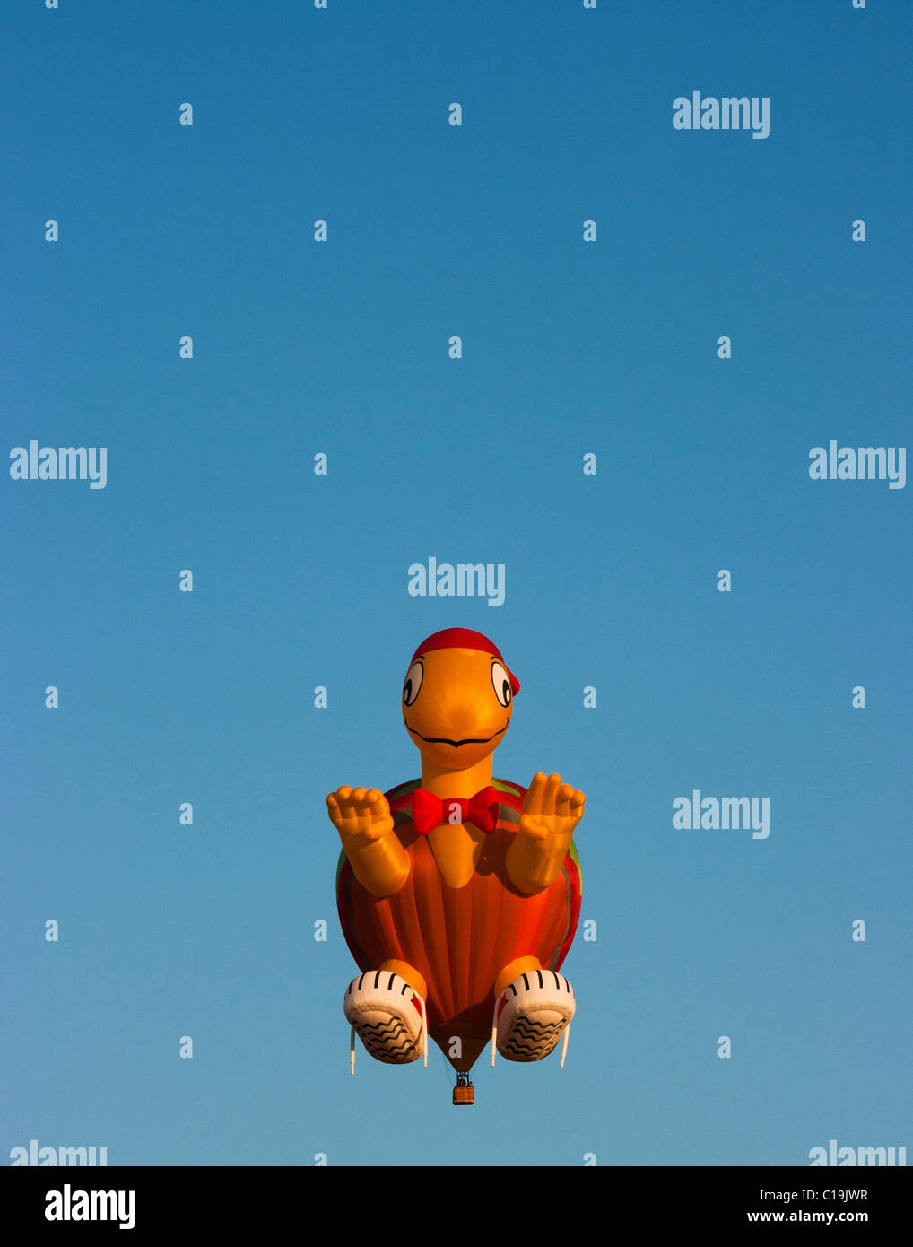 Tortoise (turtle) hot-air balloon at Barneveld Balloon Festival 2008 ...