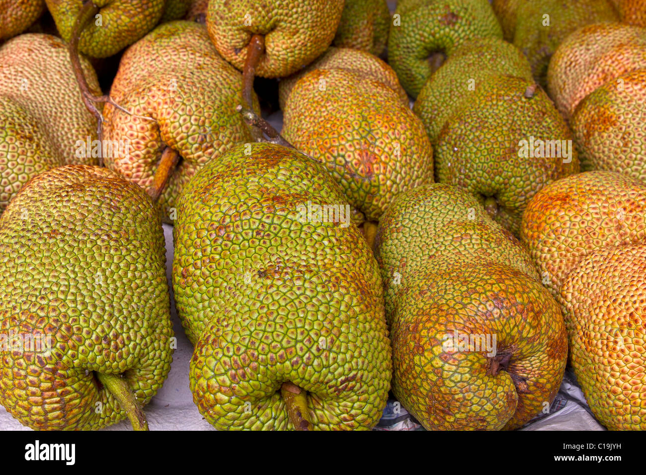 Yaca Fruta Tropical