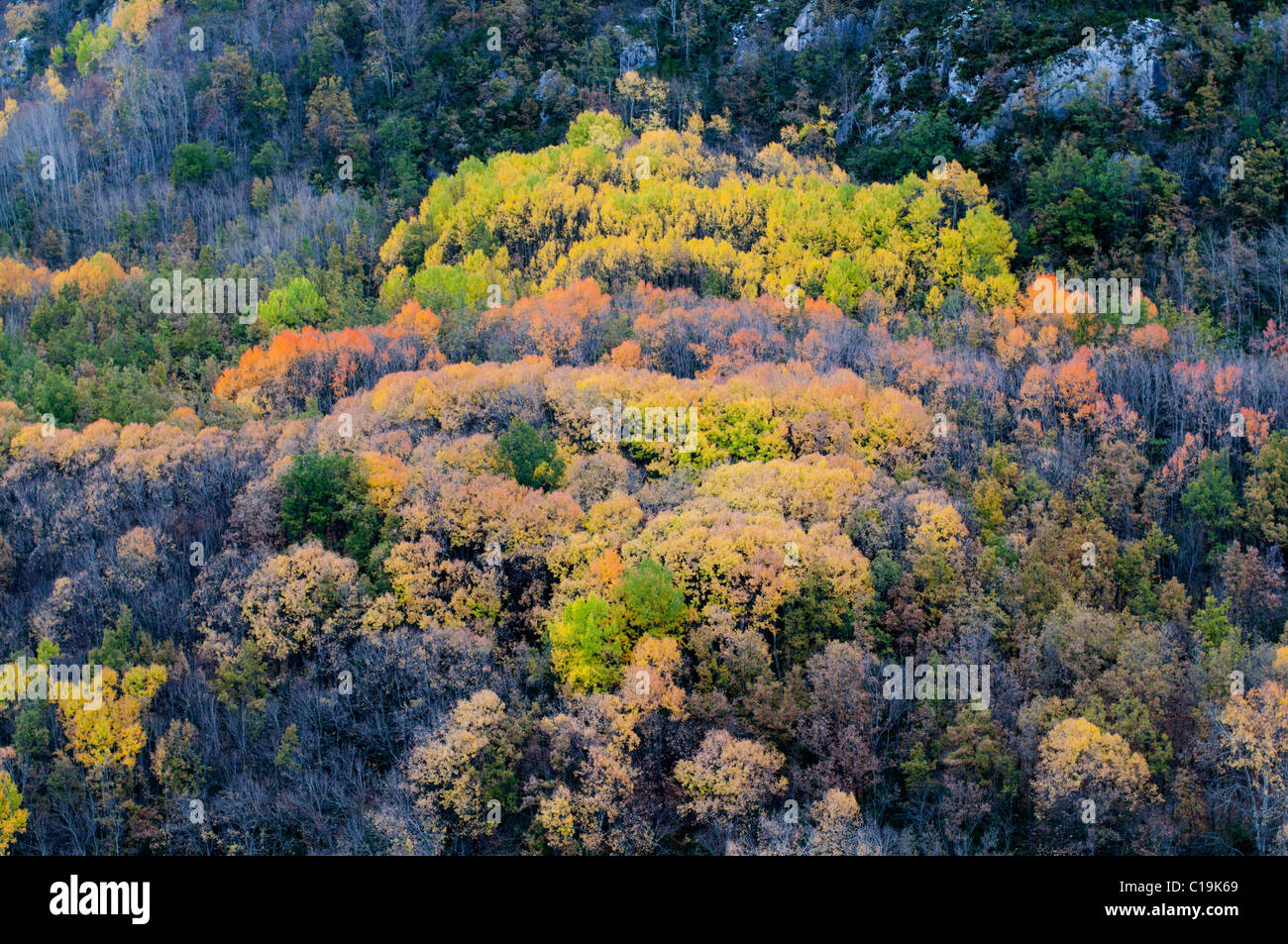 Autumn colour in Spanish Pyrenees near Tremp autumn Spain Stock Photo ...
