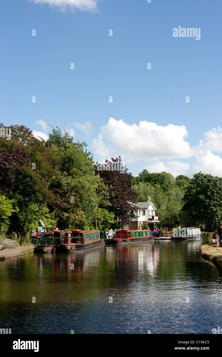 Narrow boats on the River Wey, Guildford, Surrey Stock Photo - Alamy