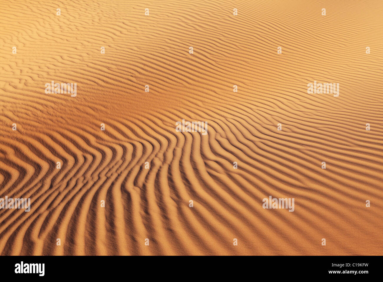 Freakish bends of sandy waves on sandy dunes Stock Photo - Alamy