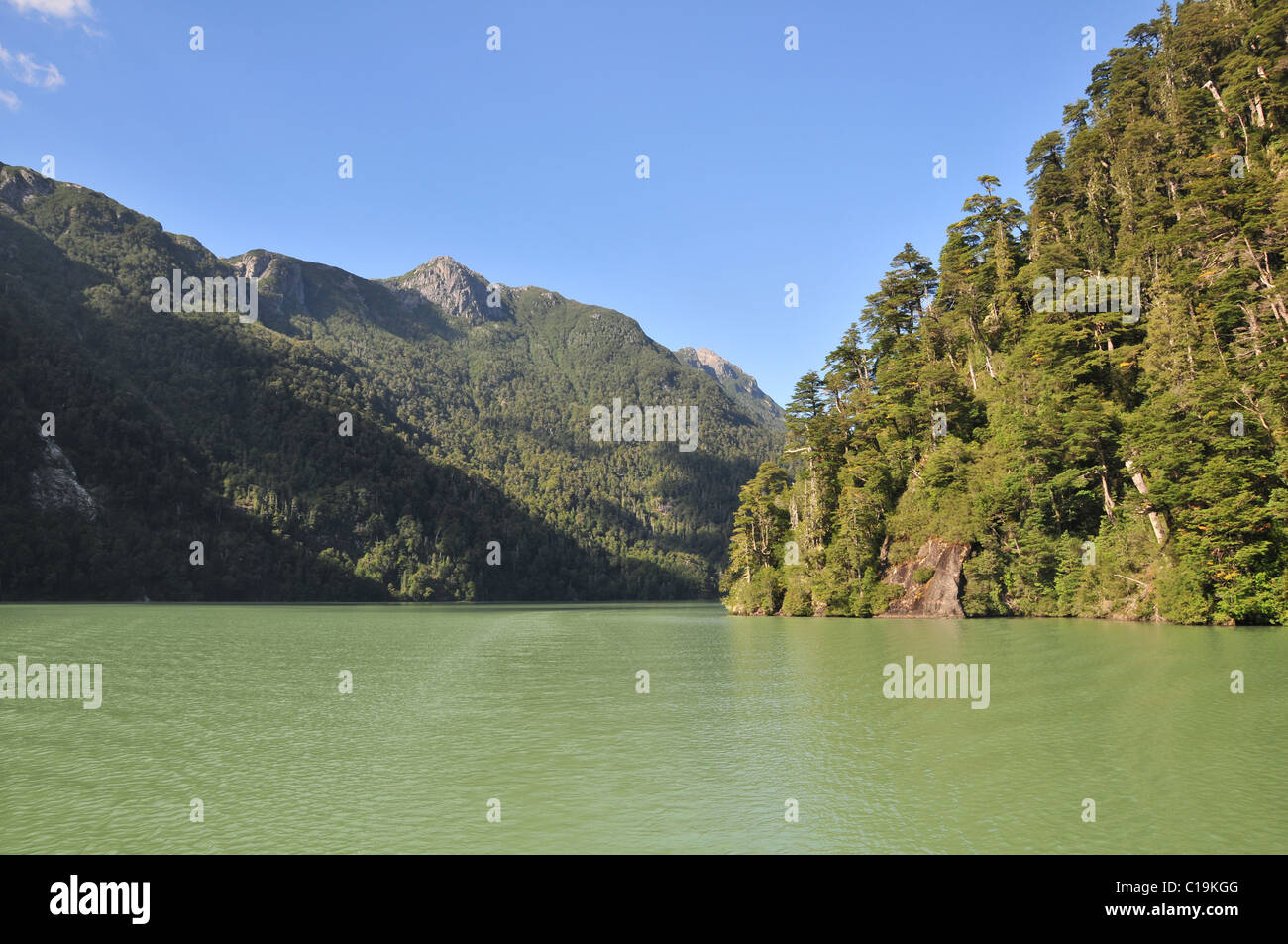 Blue sky view of the sunny green waters of Lago Frias, below Andean ...