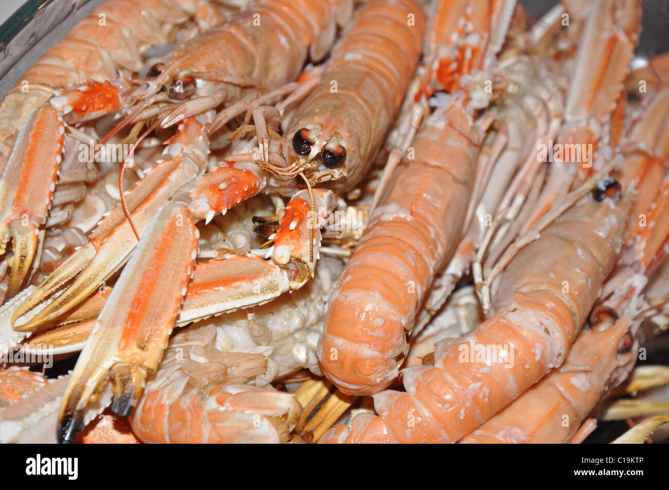 Cooked langostine, langoustine, shellfish, prawn, pile, market Stock ...