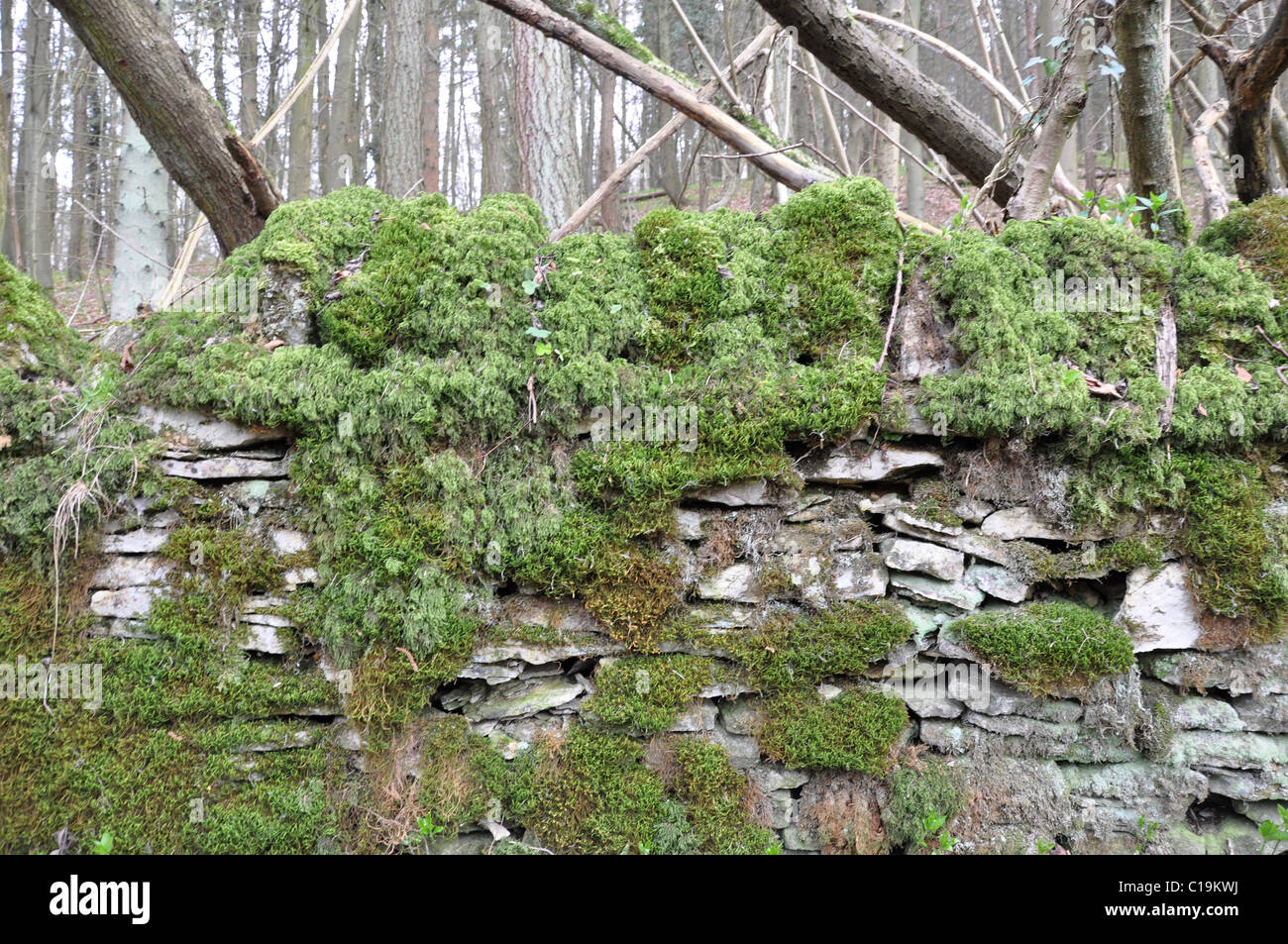 Old english countryside hi-res stock photography and images - Alamy