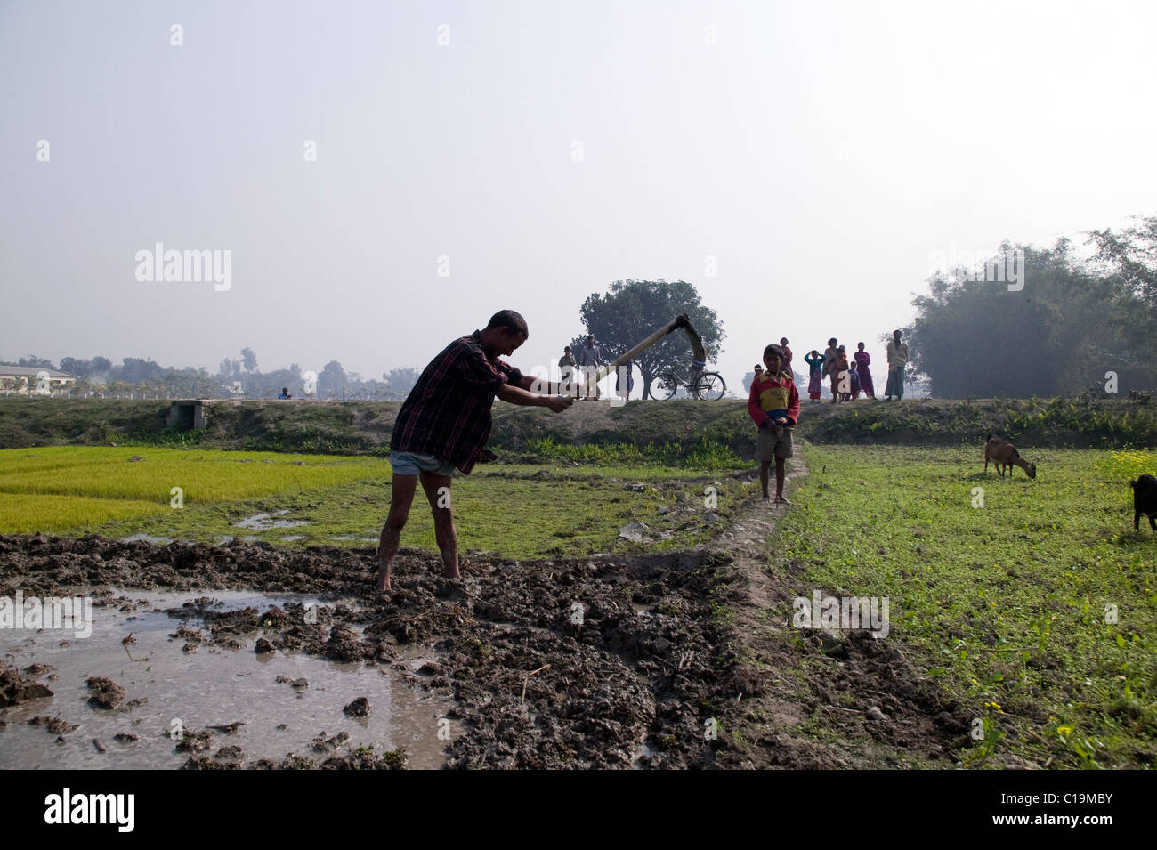 Hoe farming hi-res stock photography and images - Alamy