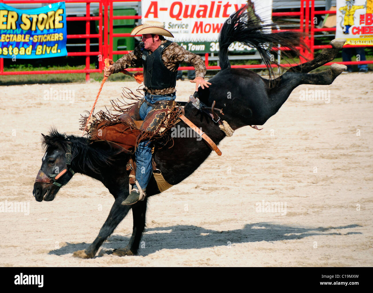 Rider breaking a horse Stock Photo - Alamy