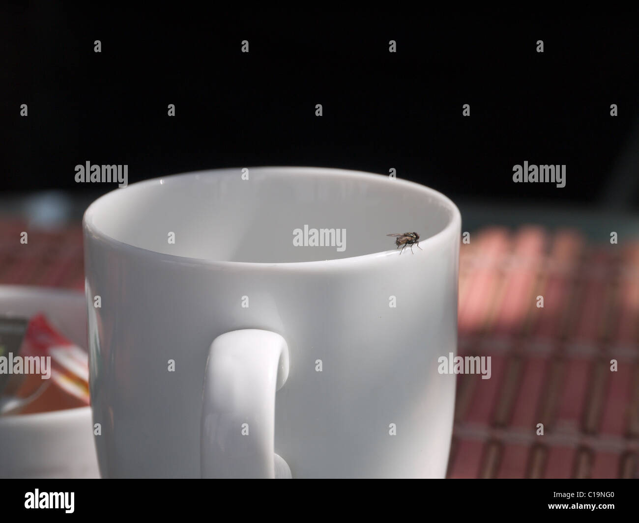 a fly settled on the rim of a coffee of tea cup Stock Photo - Alamy