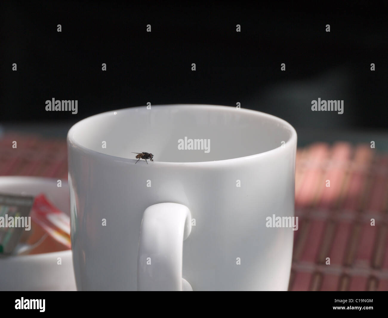 a muslim woman in a burka beside a pool in Sharm el Sheikh, Egypt Stock ...
