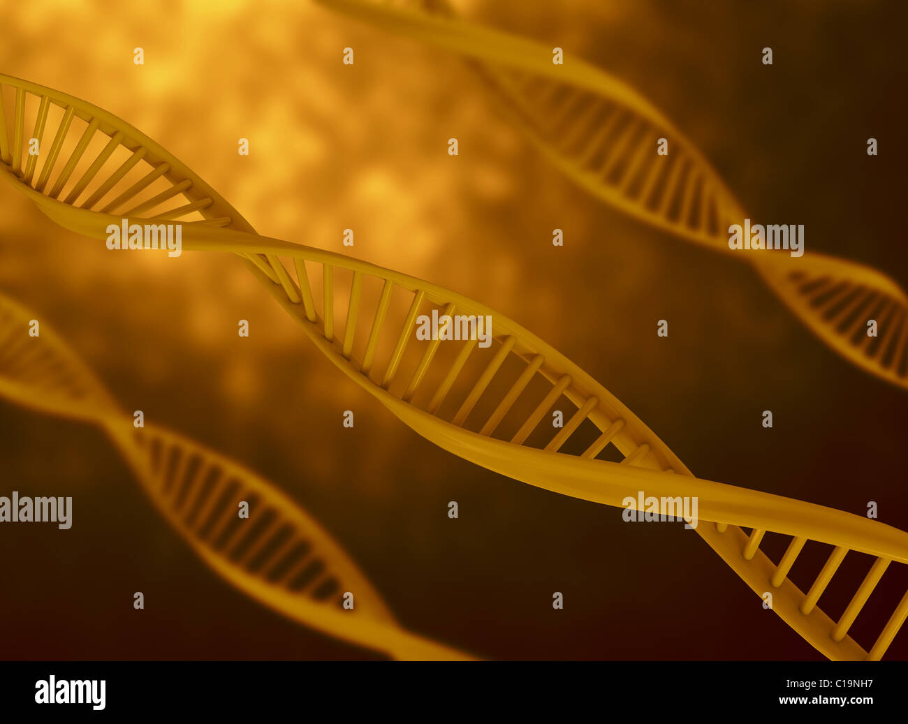 Dna helix molecular model transparent hi-res stock photography and ...