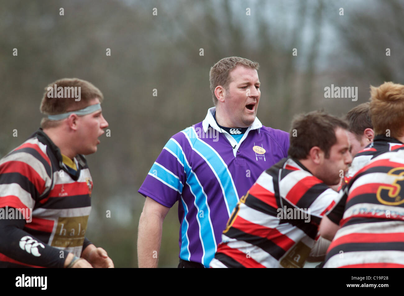 Rugby players and referee hi-res stock photography and images - Alamy