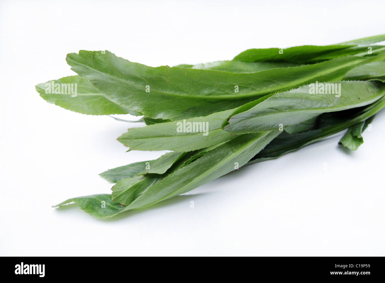 Pak chee farang hi-res stock photography and images - Alamy