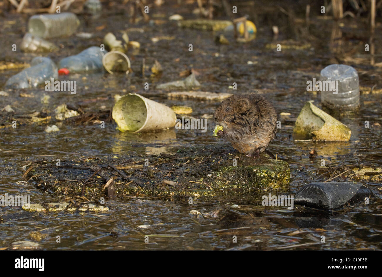 Plastic pollution ditch hi-res stock photography and images - Alamy